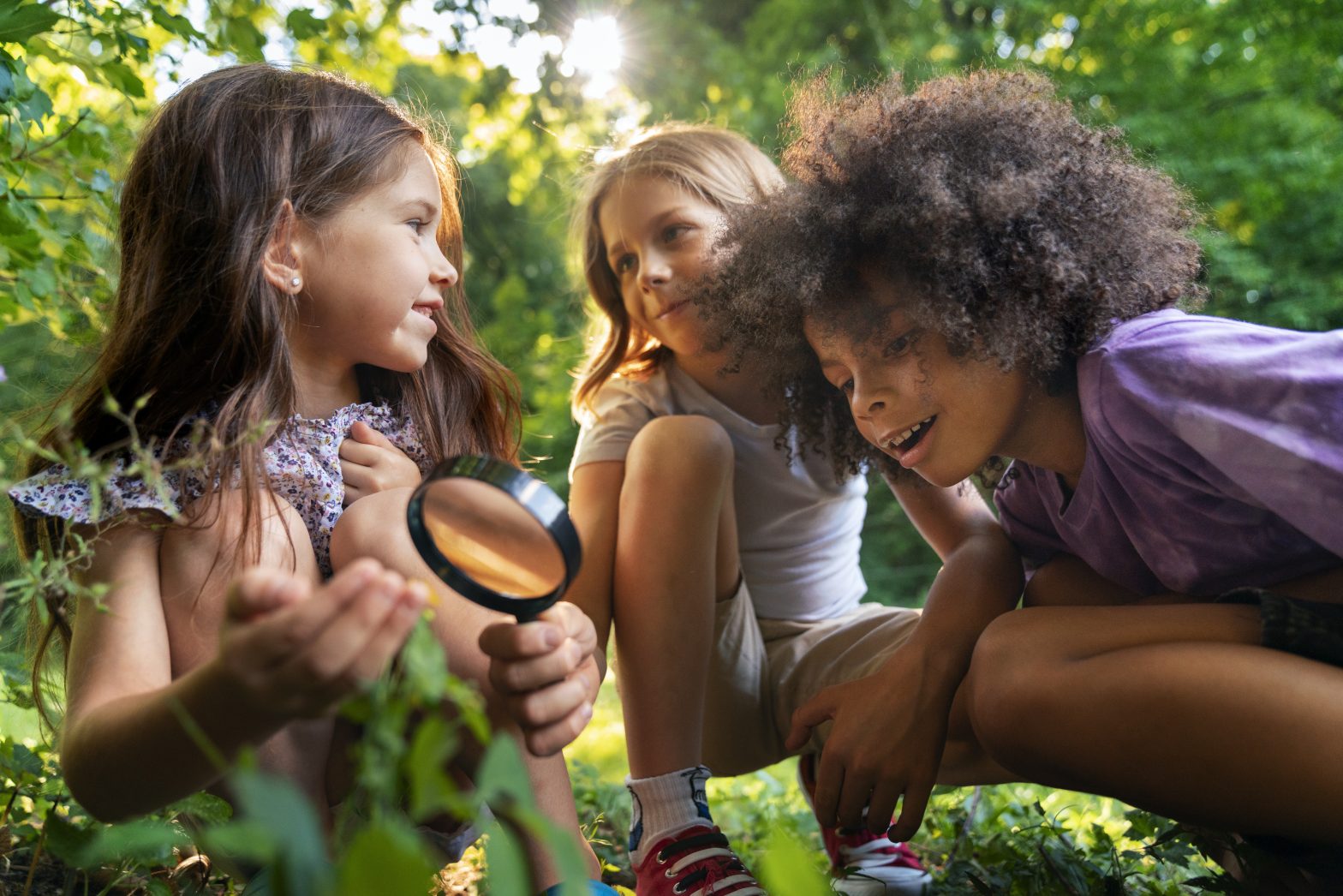 Como trabalhar a educação ambiental nas escolas?